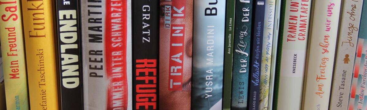 Buchempfehlung - Am Tag als Saida zu uns kam